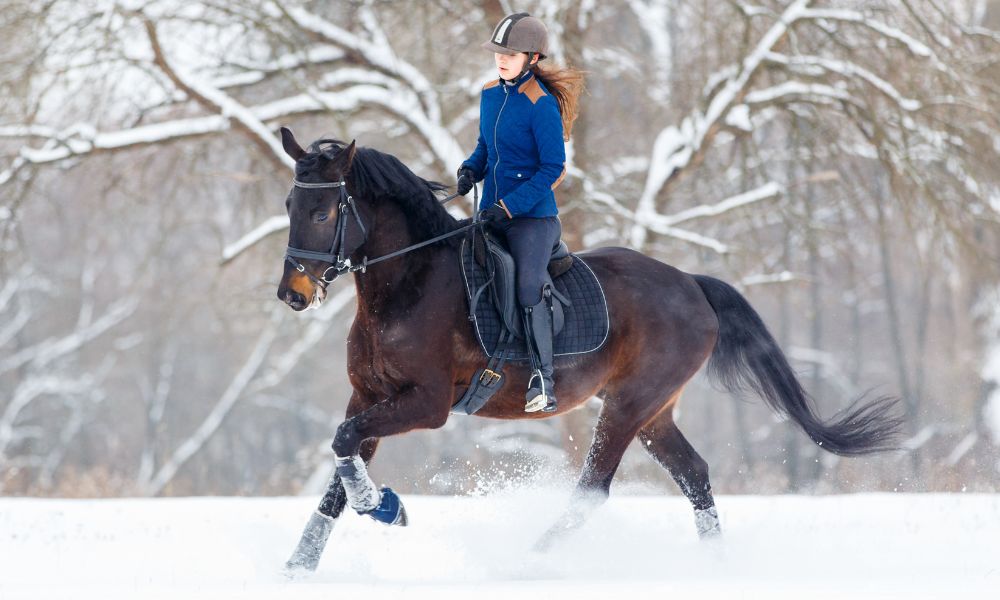 Tack Trunk Tips for Storing Winter Gear – TACKTRUNKS