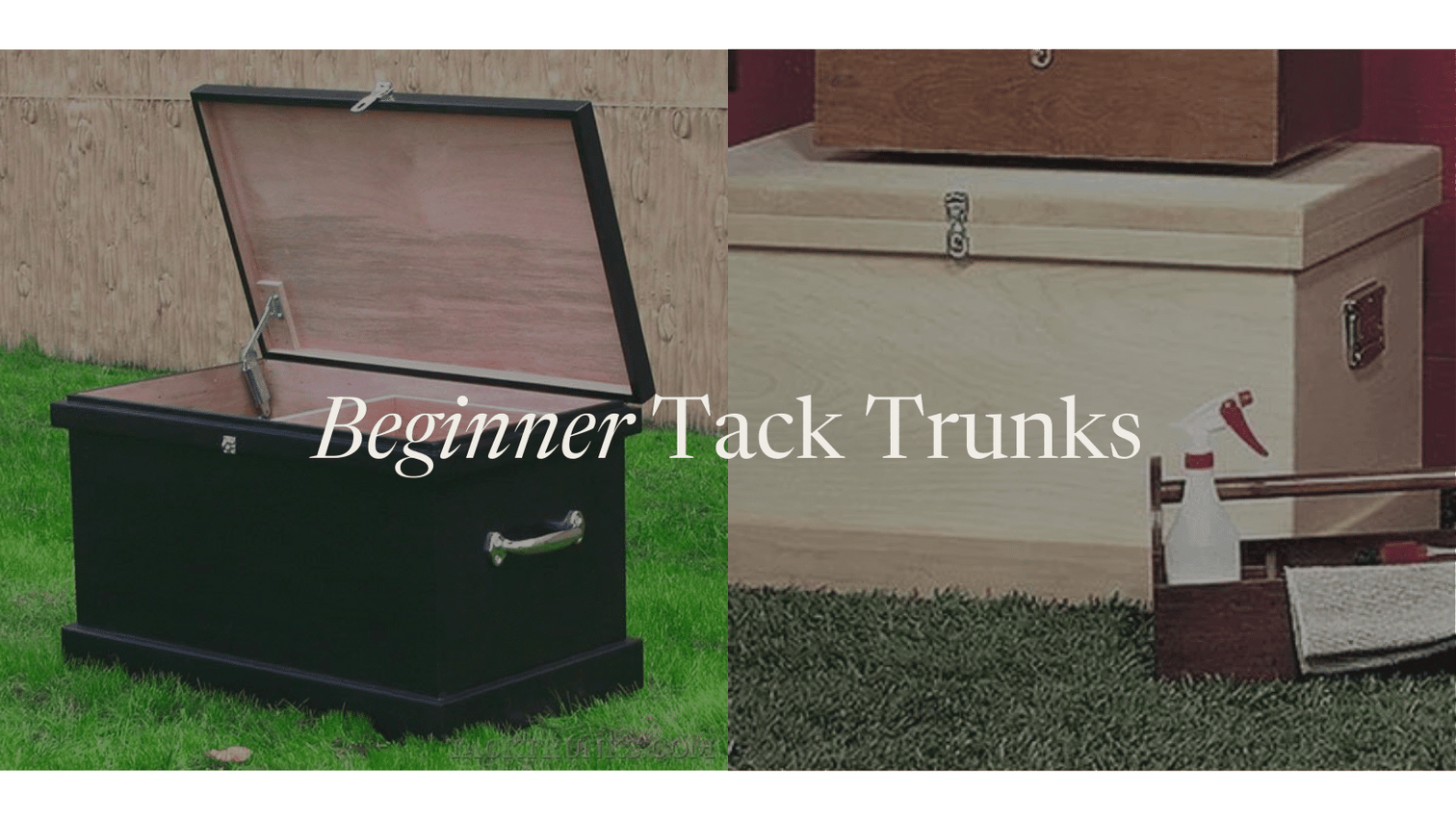 Best Beginner Tack Trunks – TACKTRUNKS