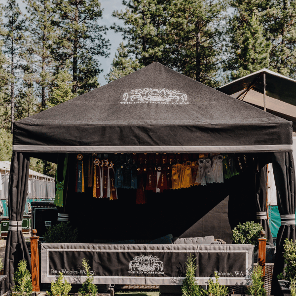 Horse Show Tack Trunks Equipment & Supplies | Tack Trunk – TACKTRUNKS