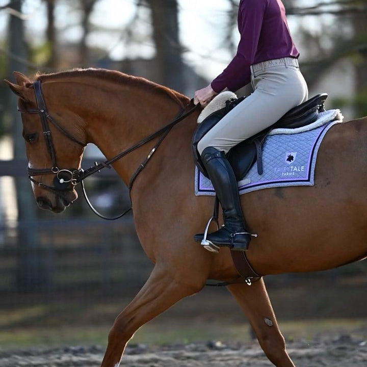 The History of Horses in North America - Tack Trunks – TACKTRUNKS